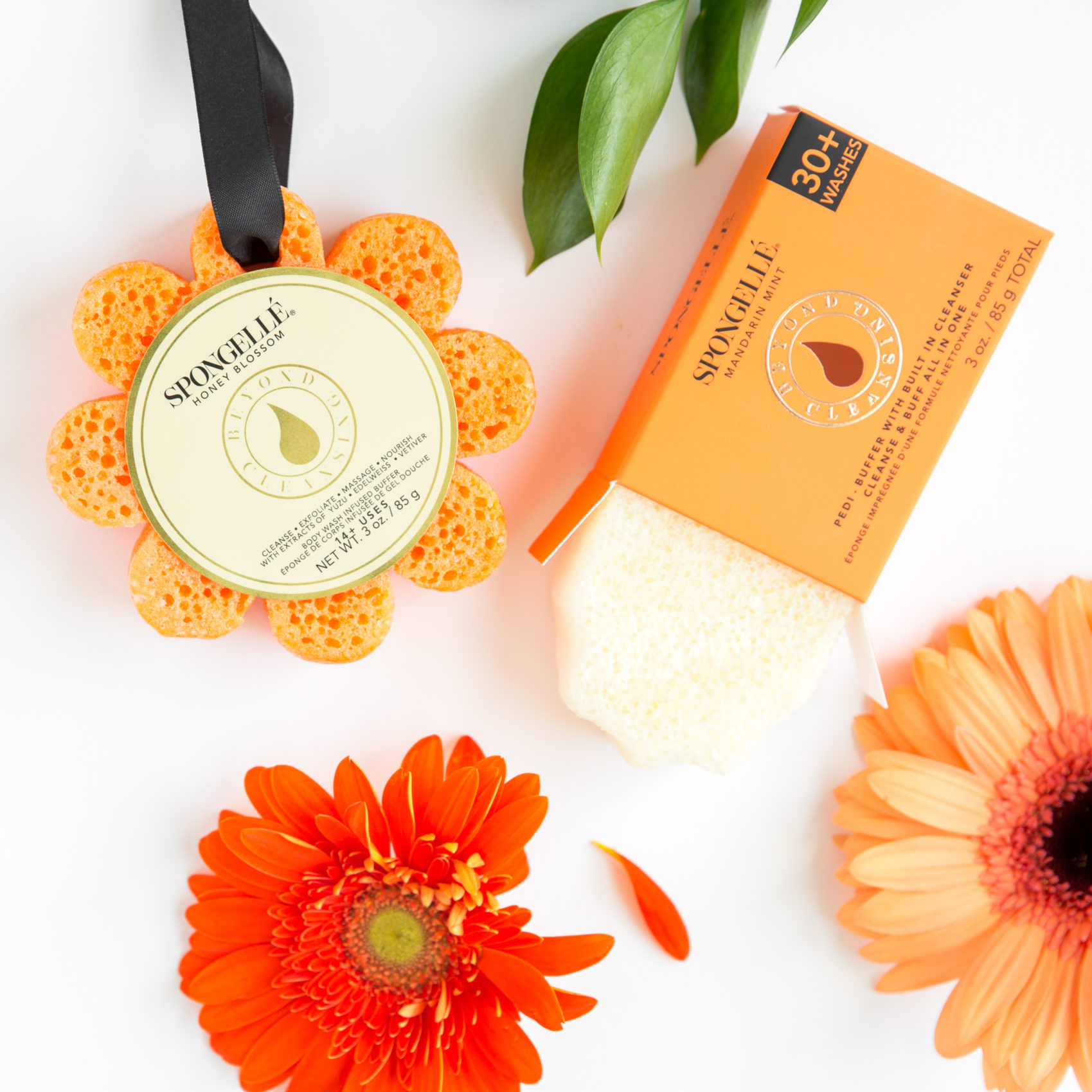 Spongellé - Gerrard International